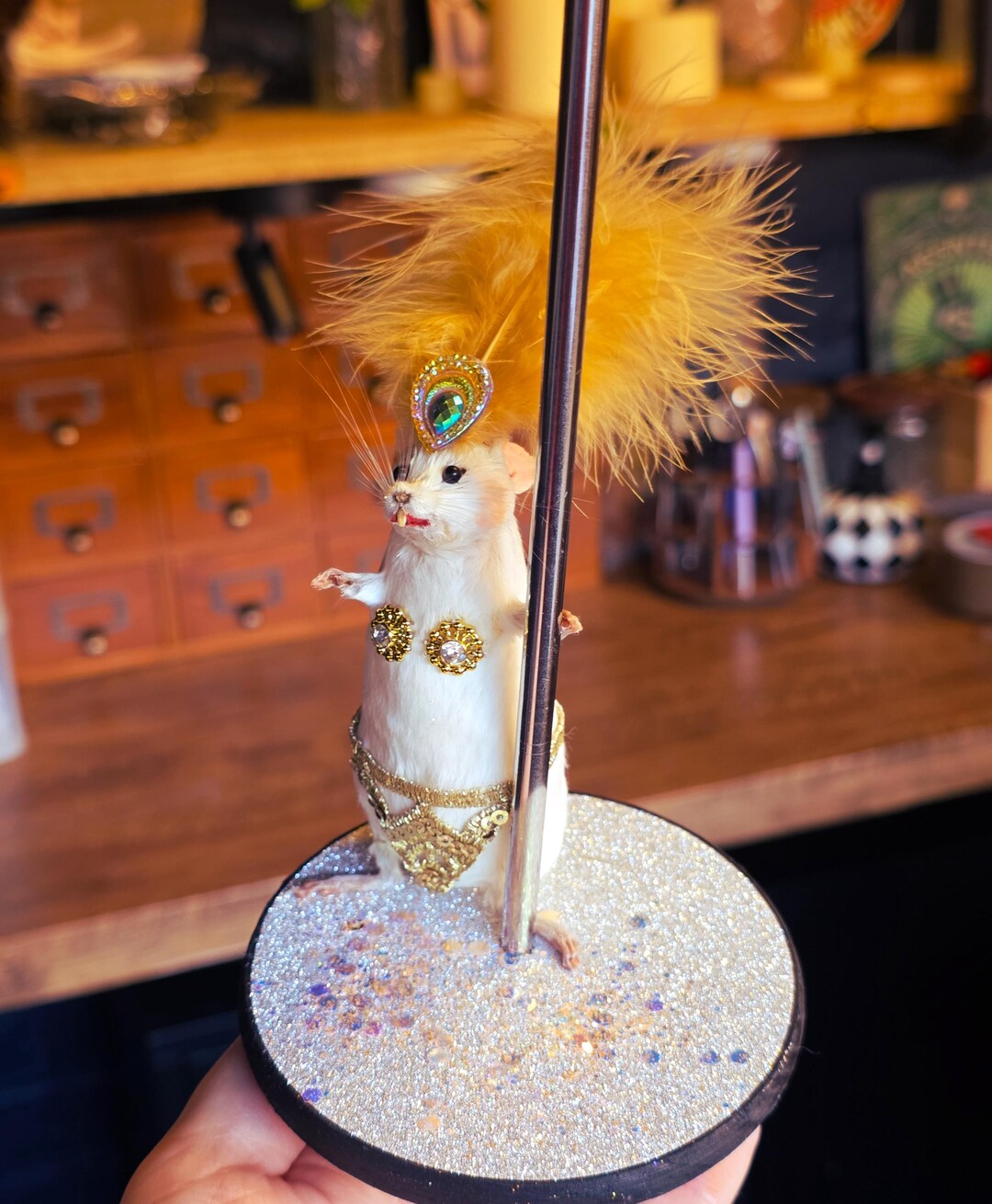Mouse Taxidermy Show Girl Pole Dancer With Dollar Bills Quirky Oddity ...