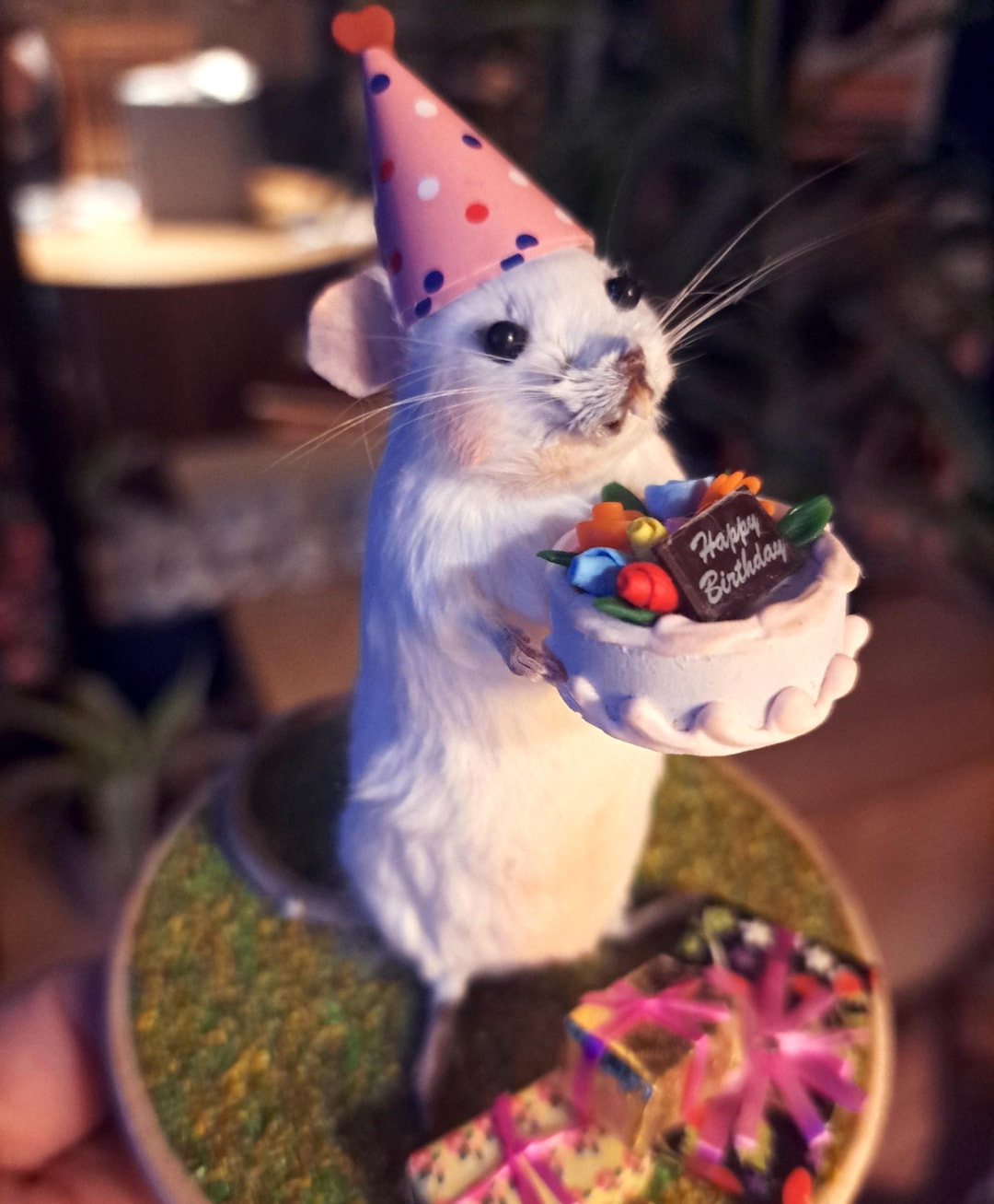 Birthday Mouse Taxidermy: Quirky Oddity Decor Gift - Etsy