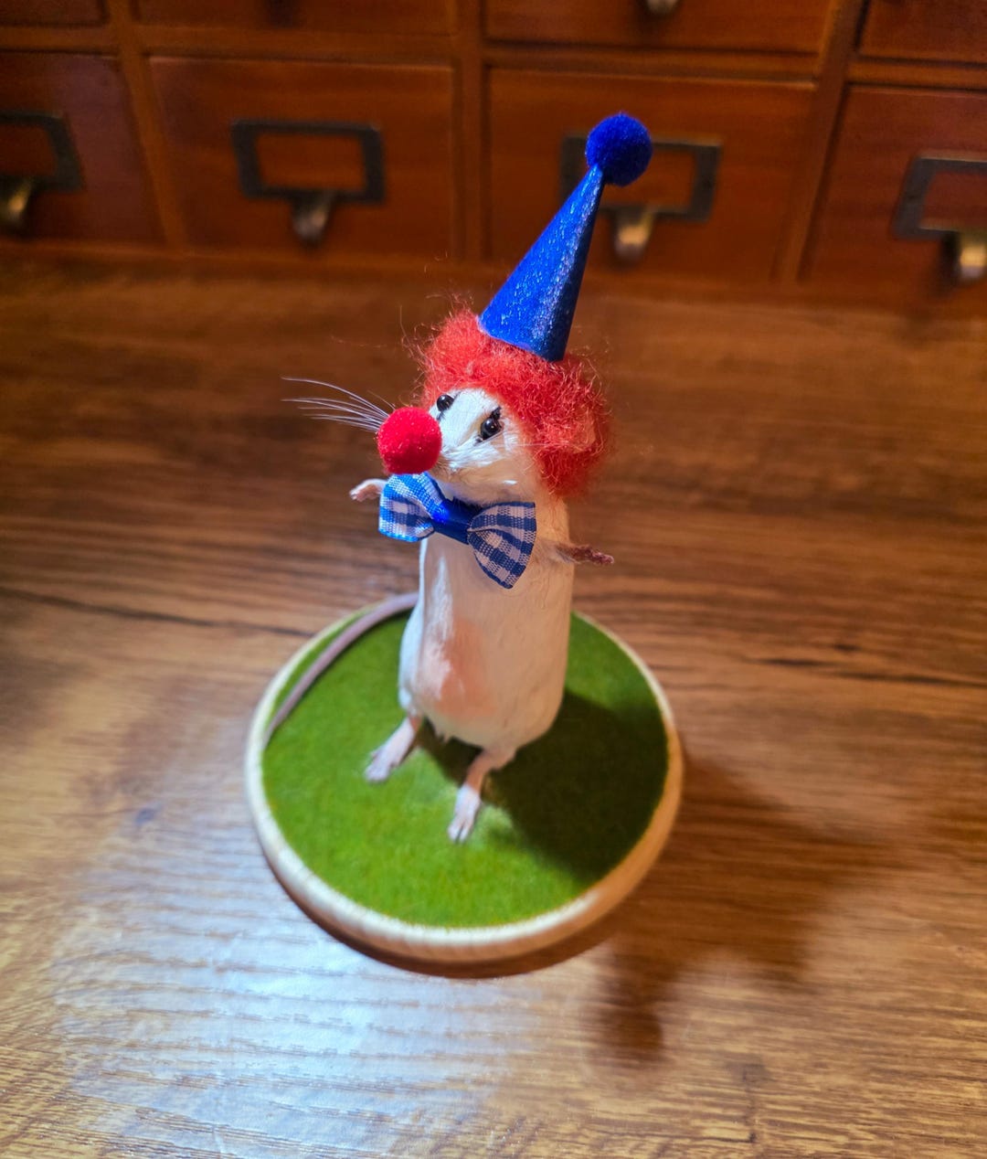 Cute Circus Mouse Taxidermy Clown With Nose Oddity Gift. Real Stuffed ...