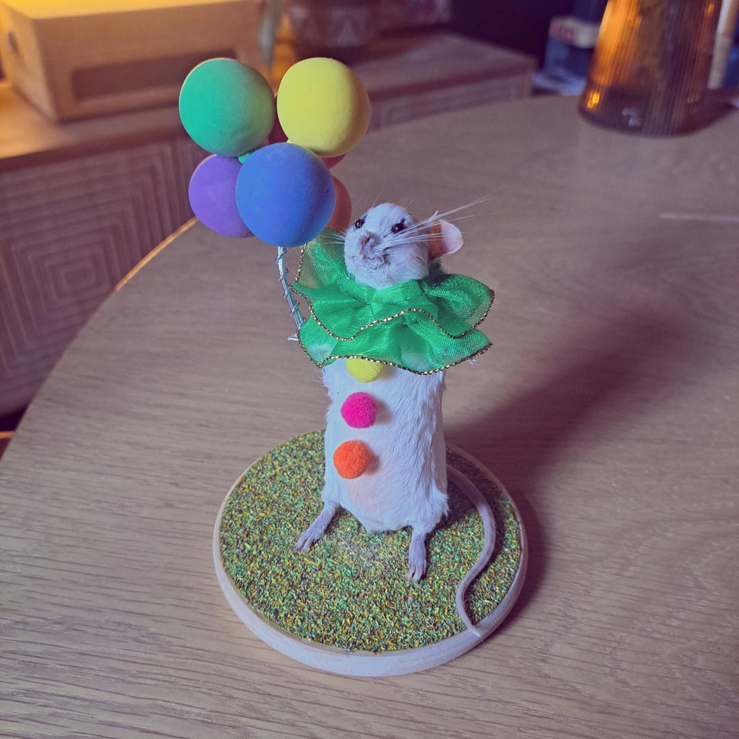 Cute Mouse Taxidermy Clown With Balloons Oddity Gift. Real Stuffed ...