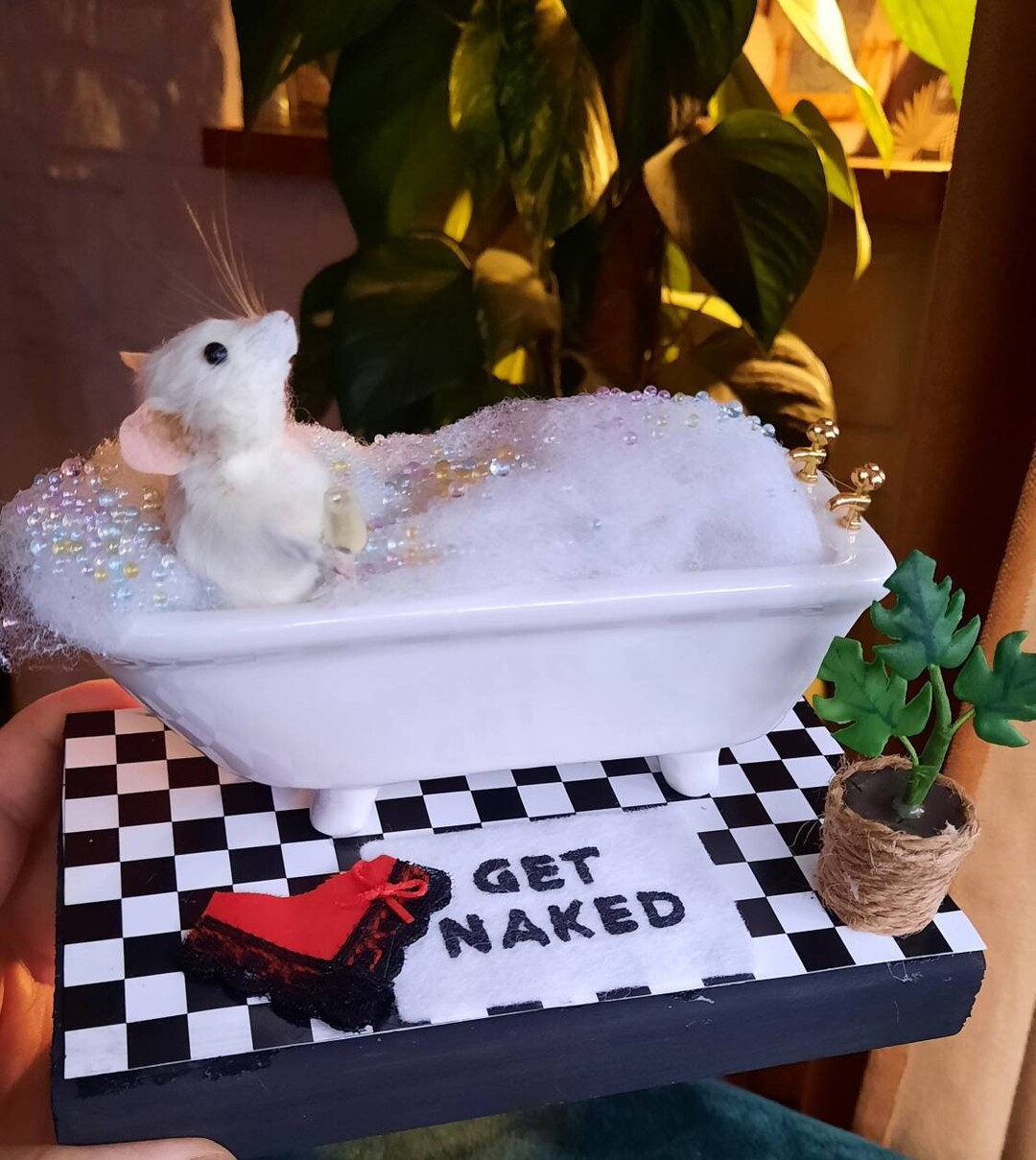 Real Mouse in Bath Tub Fun Anthropomorphic Taxidermy. Mouse With Glass ...
