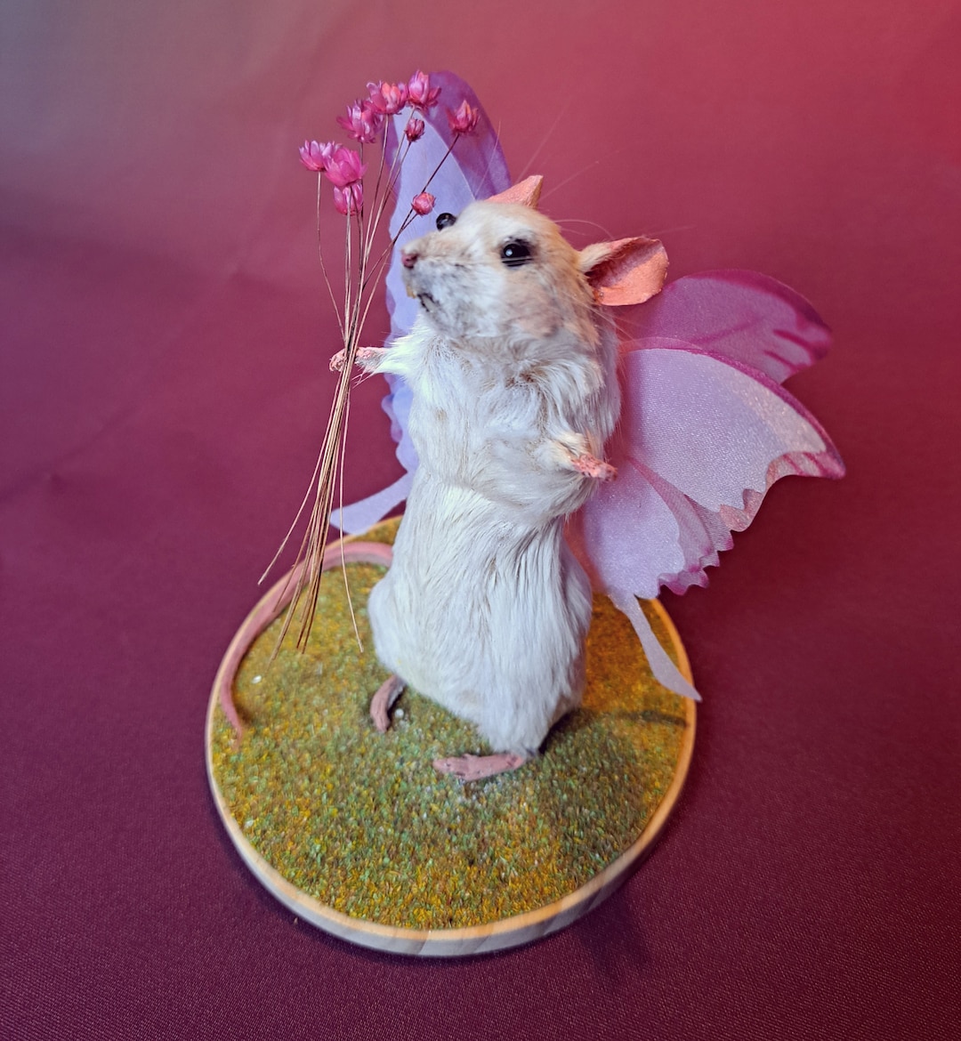 Cute Whimsical Mouse Taxidermy With Fairy Wings Butterfly. Real Flowers ...