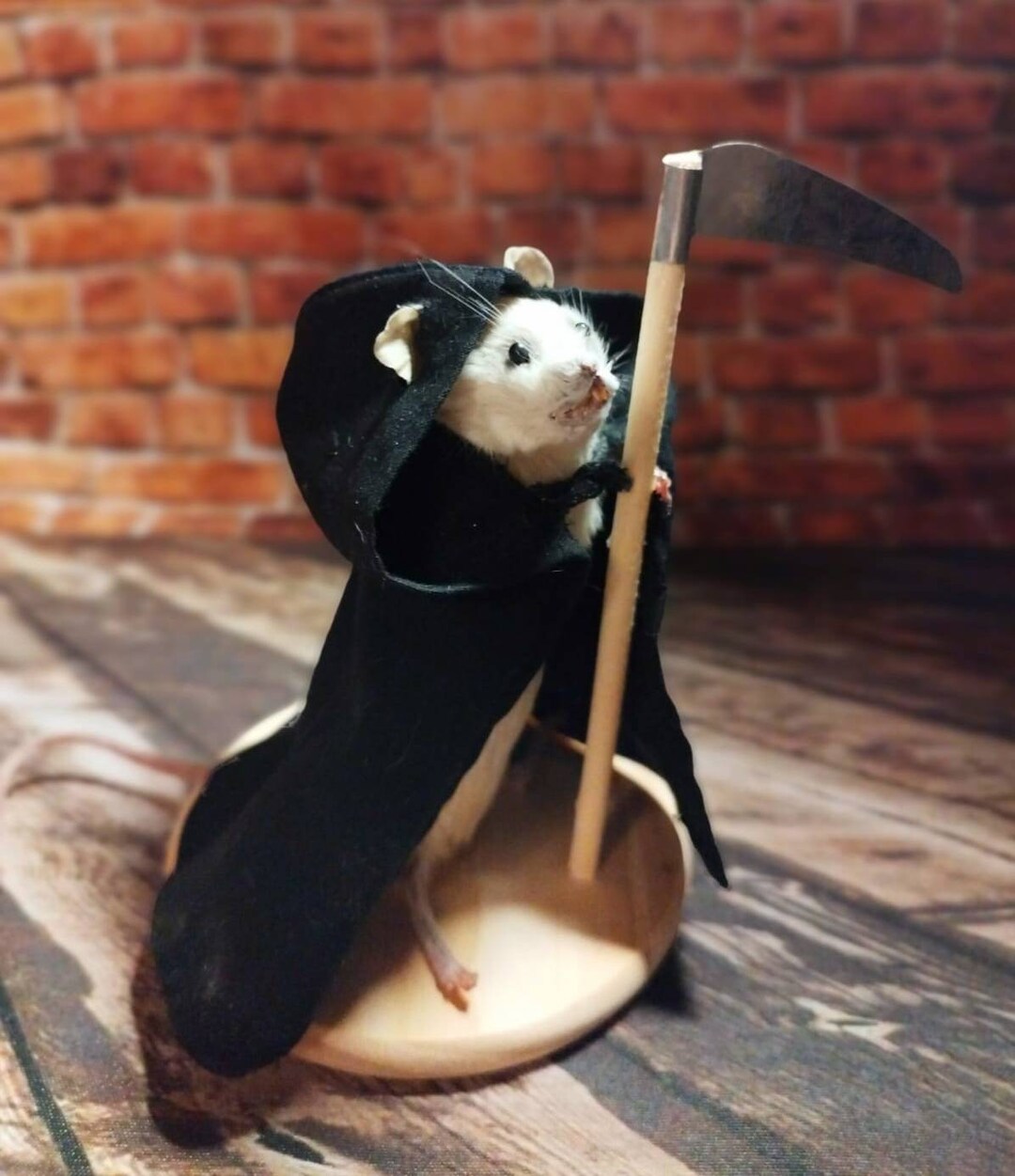 Grim Reaper Mouse Taxidermy: Anthropomorphic Oddity - Etsy UK