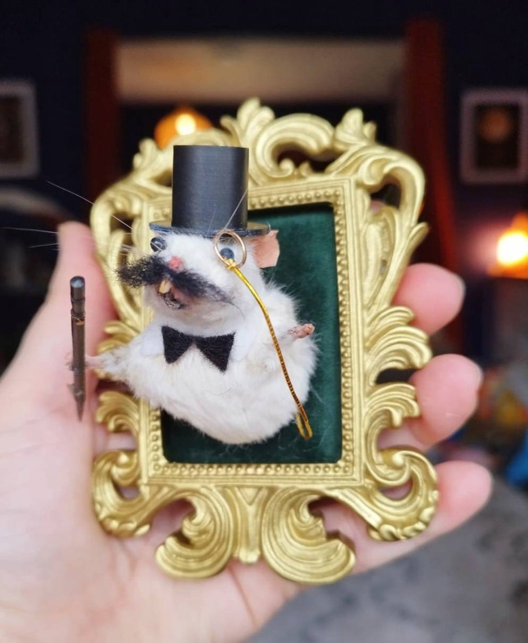 Gentleman Mouse Head Taxidermy Mounted and Framed in Gold Ornate Frame ...