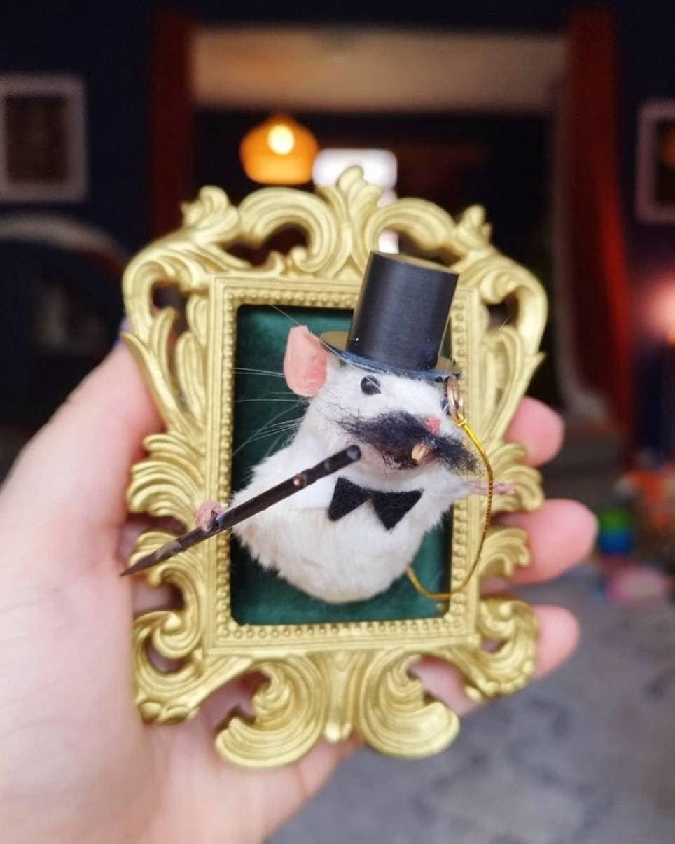 Gentleman Mouse Head Taxidermy Mounted and Framed in Gold - Etsy UK