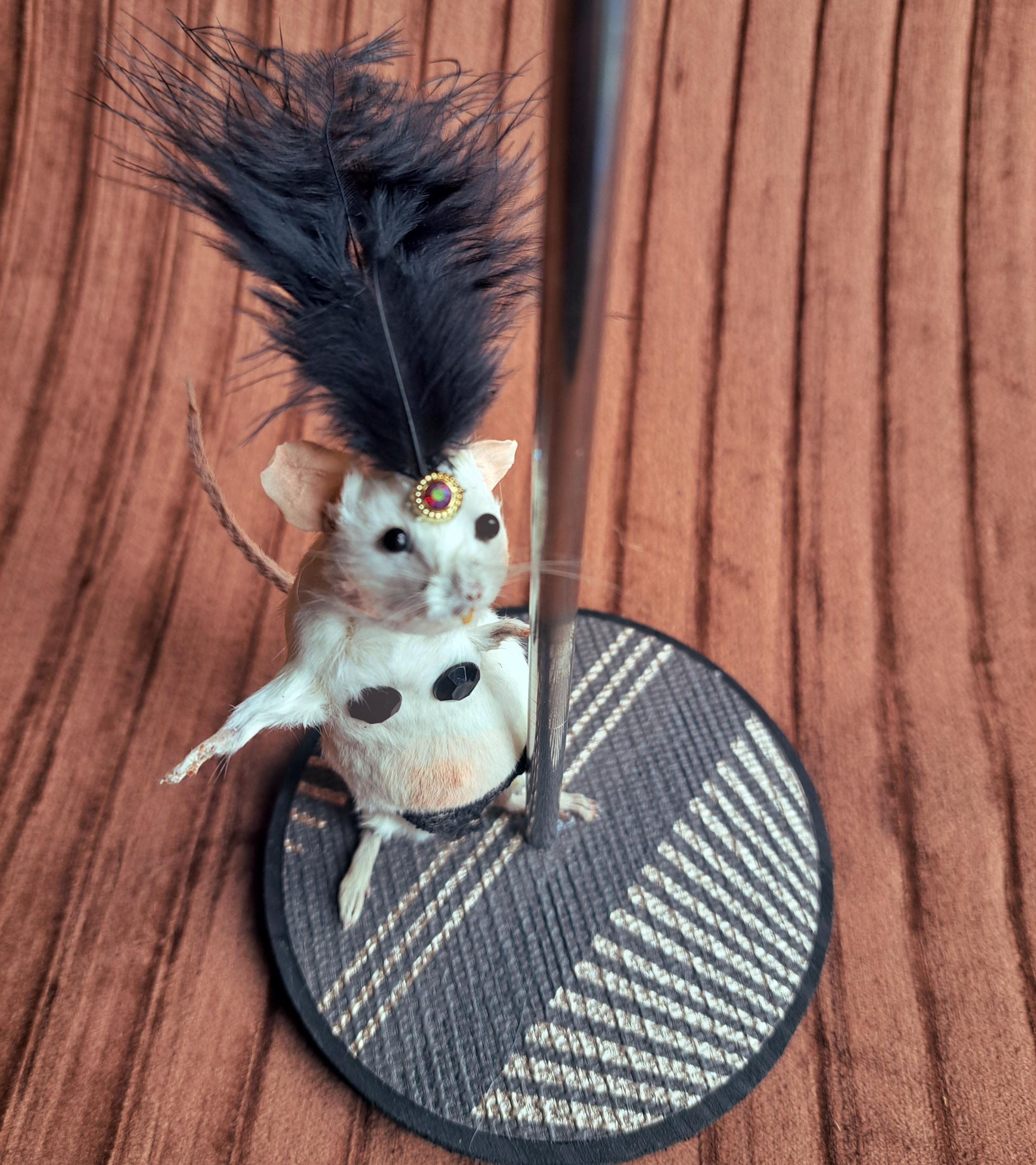 Mouse Taxidermy Show Girl Pole Dancer Quirky Oddity Gift. With Black ...