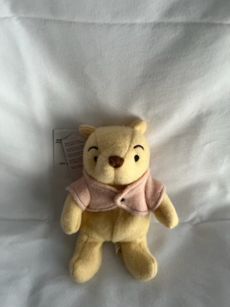 Vintage Winnie the Pooh-disney Mini Bean Bag Plushies- Comes From a ...