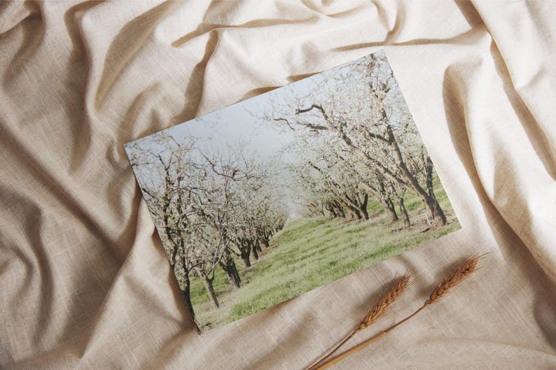 Oregon Orchard | Spring Photo | Nature Photography | Wall Art | Photo ...