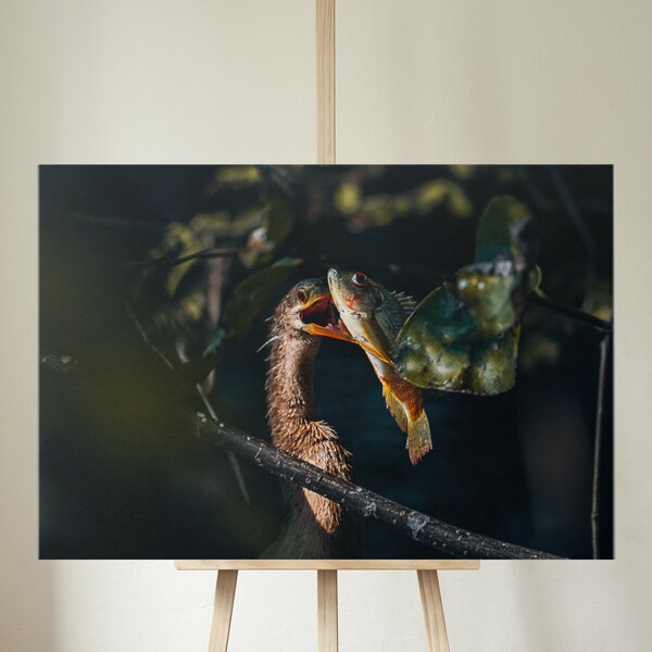 Anhinga - Etsy