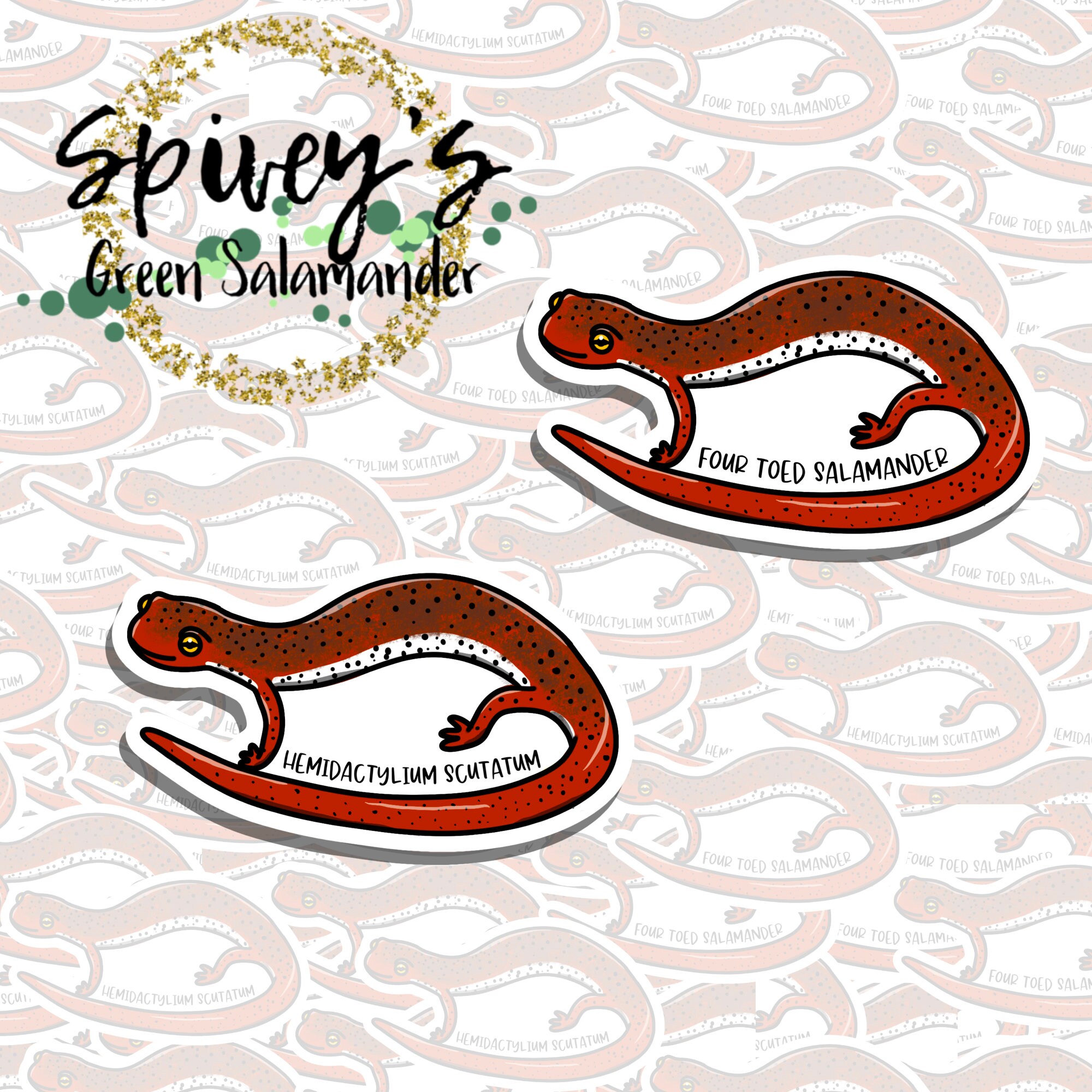 Four Toed Salamander