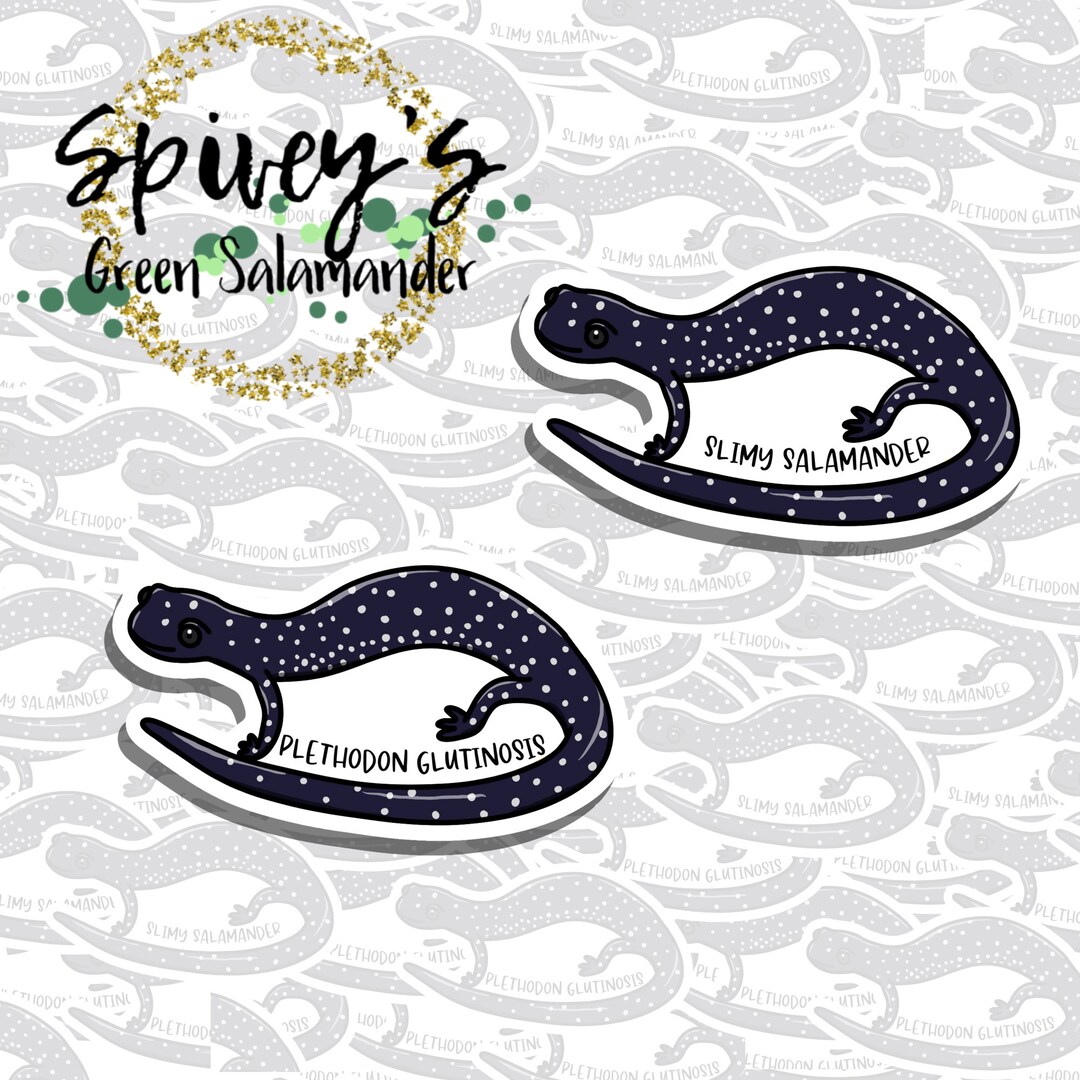 Slimy Salamander Sticker Plethodon Glutinosis Sticker Herpetology ...
