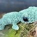 NO-SEW Salamander Pal Crochet PATTERN | No-sew Crochet Pattern | No Sew ...