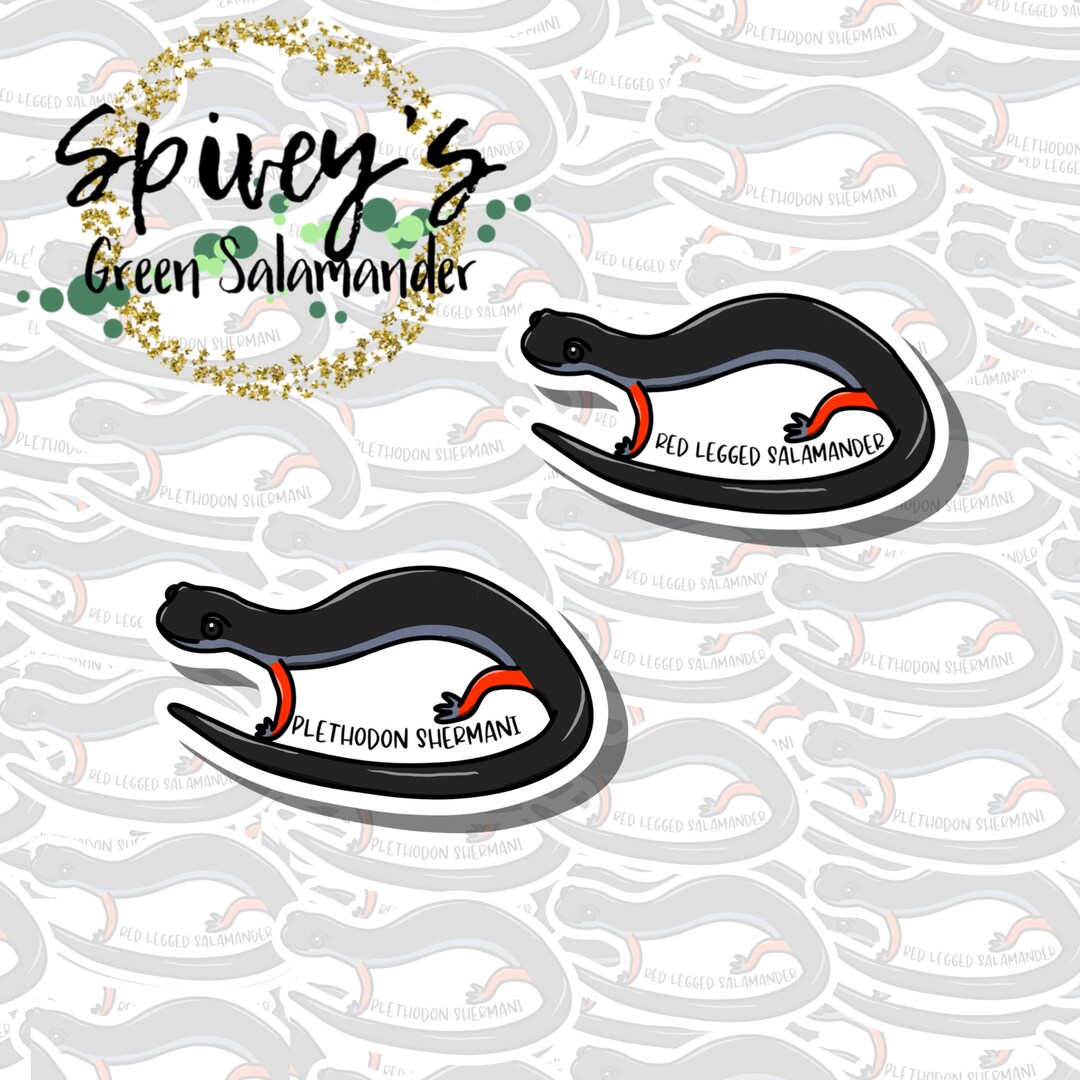Red-legged Salamander Sticker Plethodon Shermani Sticker Herpetology ...