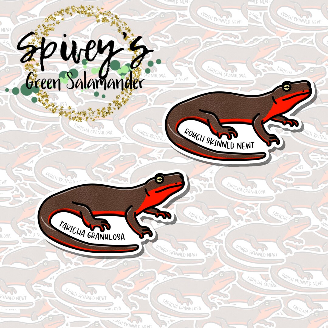 Rough Skinned Newt Salamander Sticker Taricha Granulosa Sticker ...