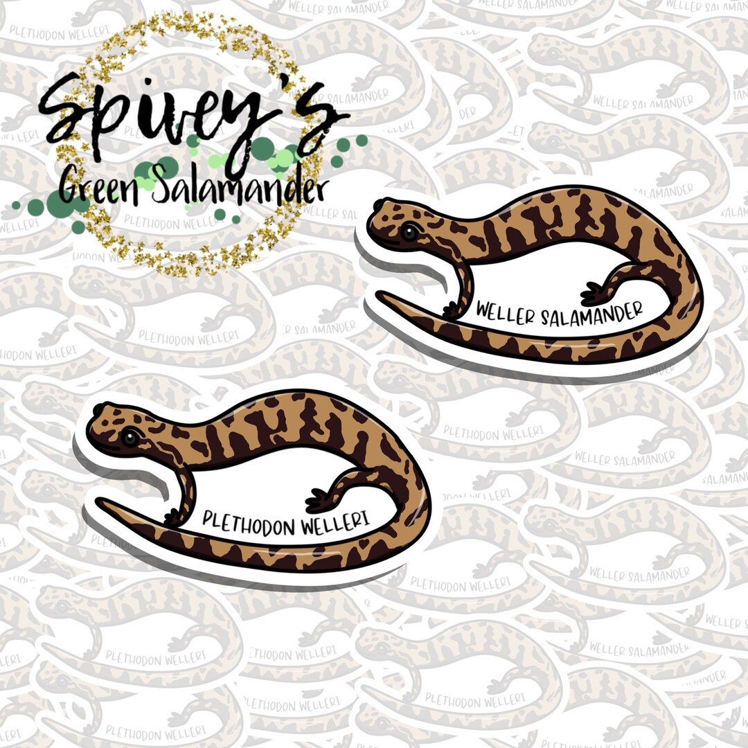 Weller Salamander Sticker Plethodon Welleri Sticker Herpetology ...