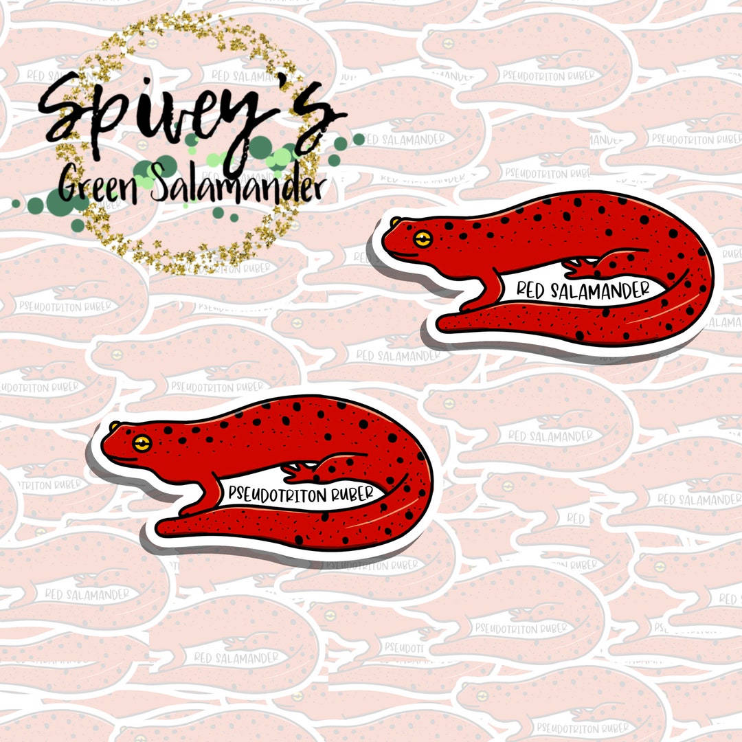 Red Salamander Sticker Pseudotriton Ruber Sticker Herpetology Amphibian ...