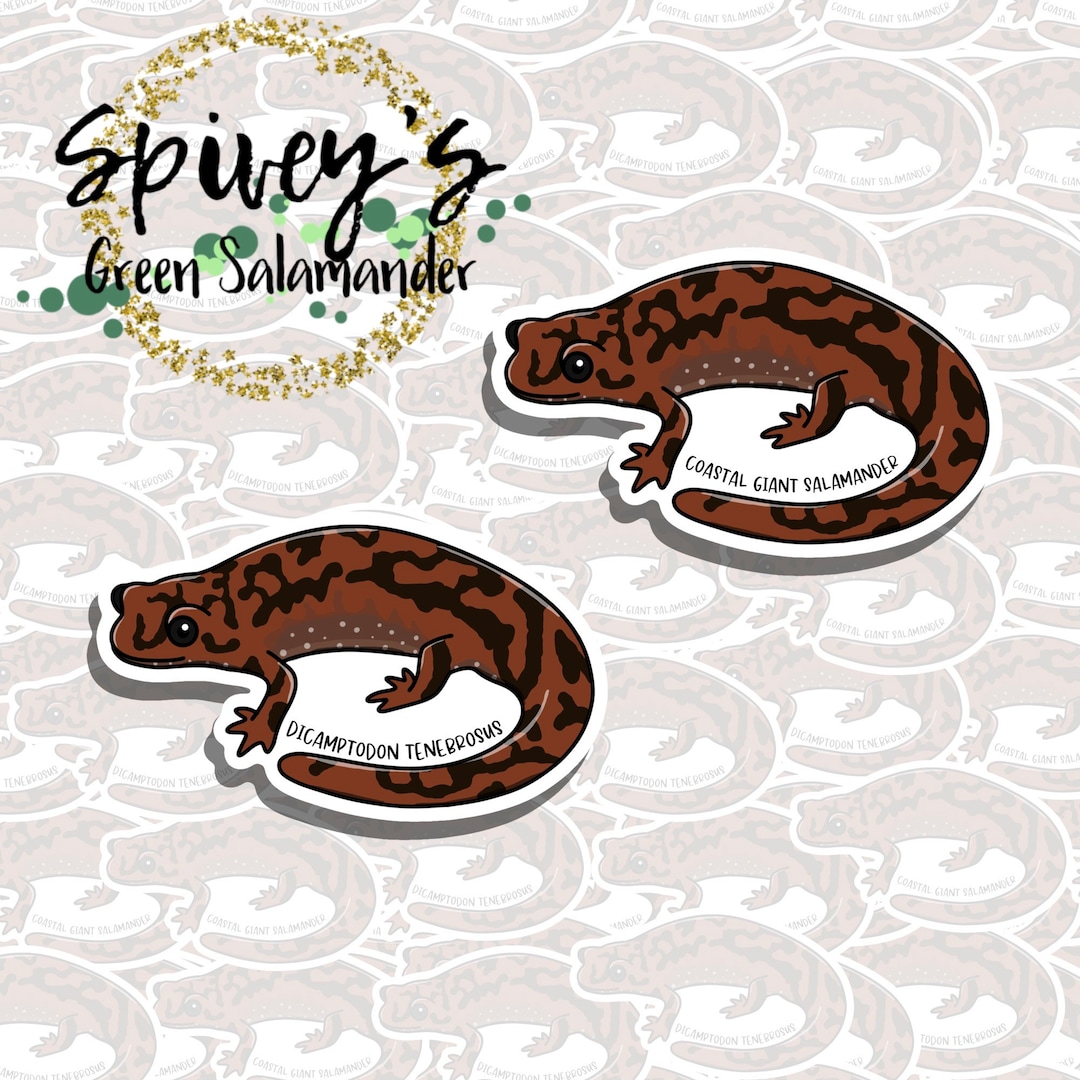 Coastal Giant Salamander Sticker Dicamptodon Tenebrosus Sticker ...