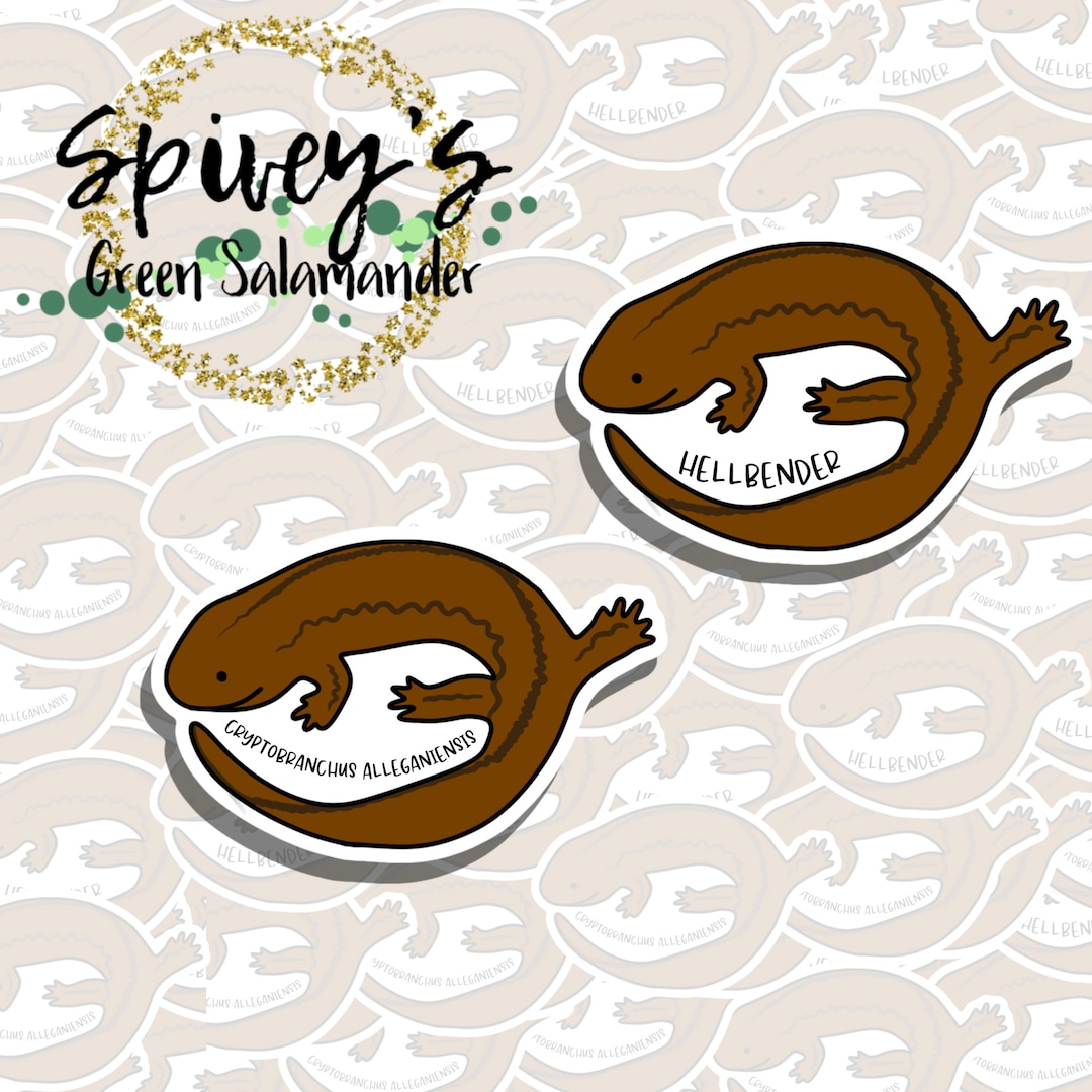 Hellbender Salamander Sticker Cryptobranchus Alleganiensis Sticker ...
