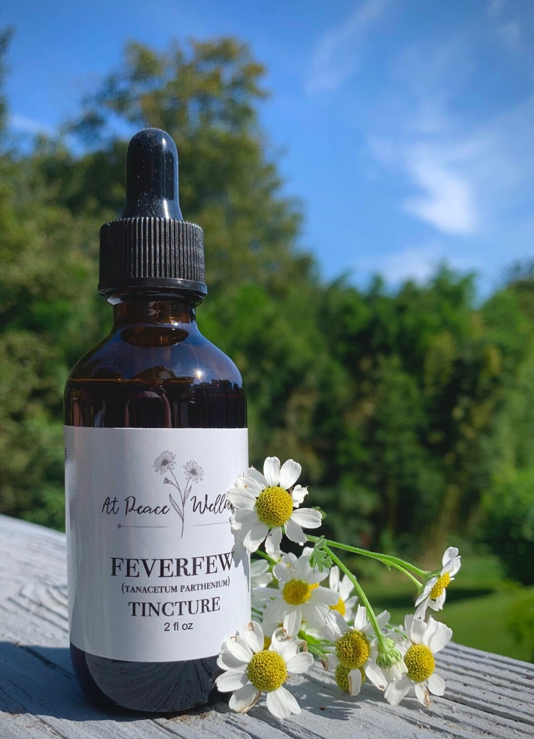 Feverfew Tincture, Tanacetum Parthenium, Herbal Extract - Etsy