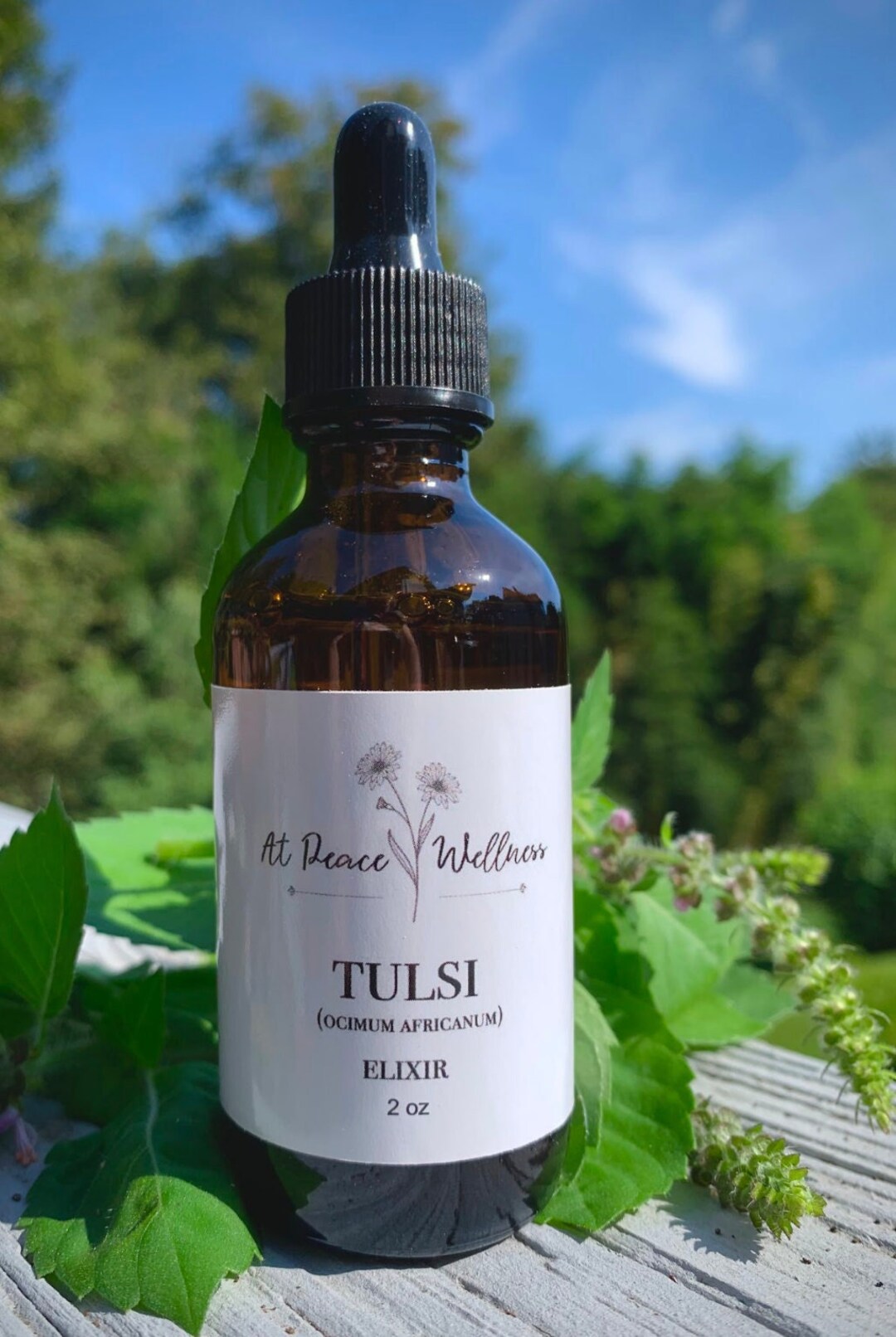 Tulsi Elixir, Ocimum Africanum, Herbal Extract - Etsy