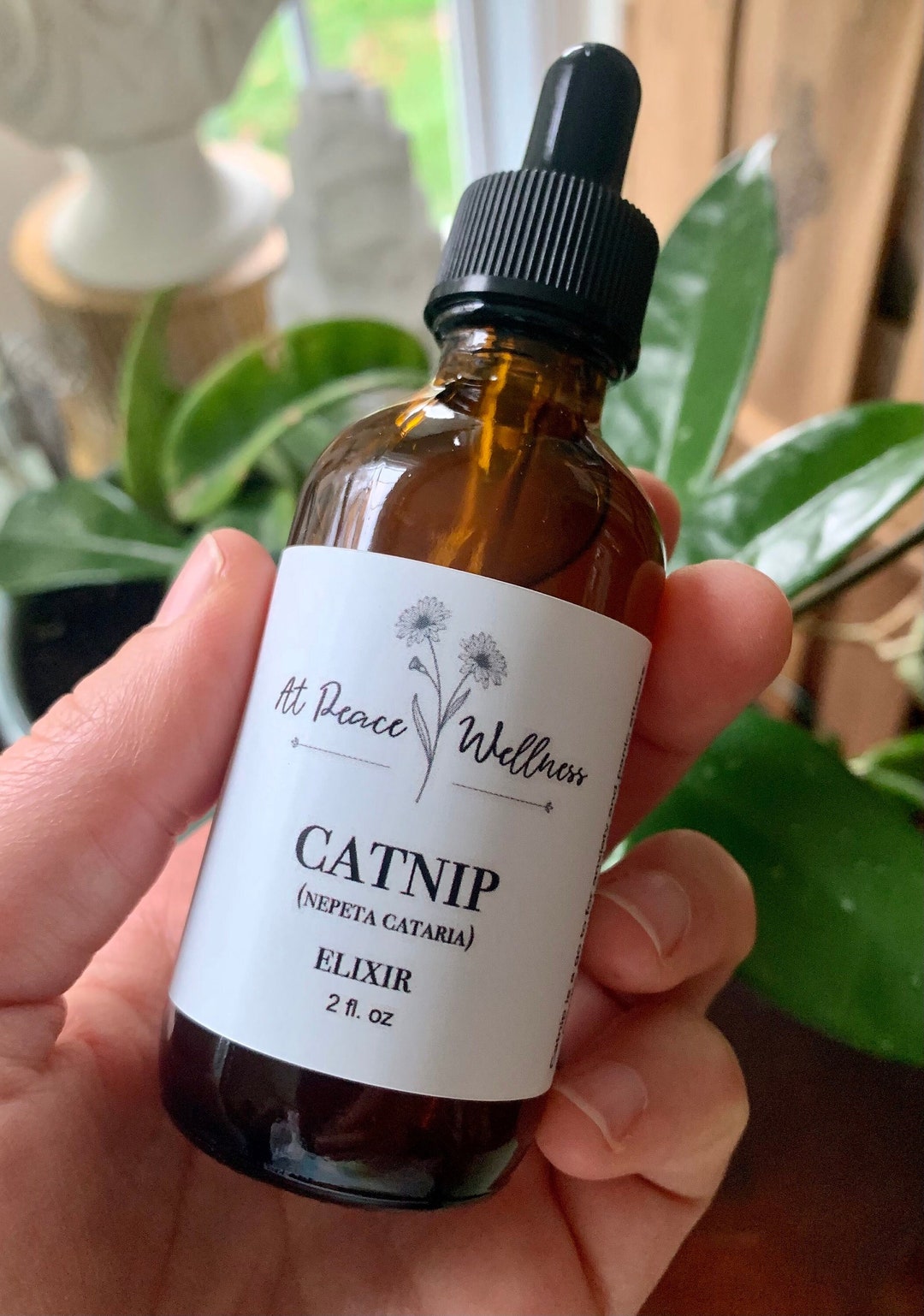 Catnip Elixir, Catnip, Nepeta Cataria, Organic Herbal Extract ...