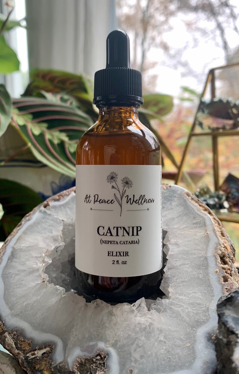 Catnip Elixir, Catnip, Nepeta Cataria, Organic Herbal Extract ...