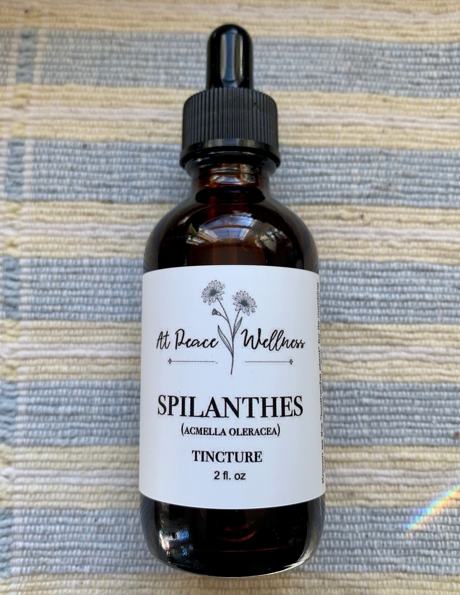 Spilanthes Tincture, Acmella Oleracea, Organic Herbal Extract - Etsy