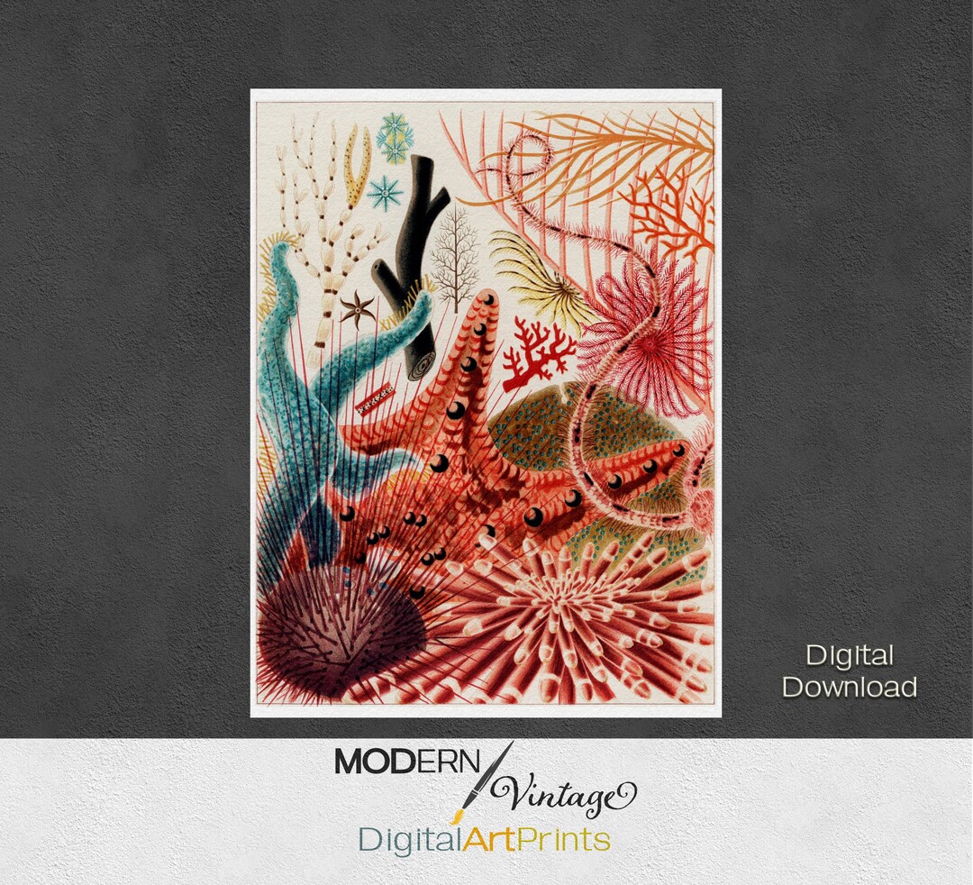 Great Barrier Reef Vintage Art Print, Digital Download - Etsy