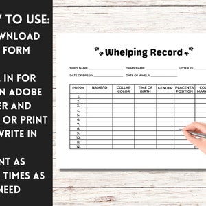 Dog Whelping Record, Fillable Puppy Whelping Chart, Dog Breeder Forms ...