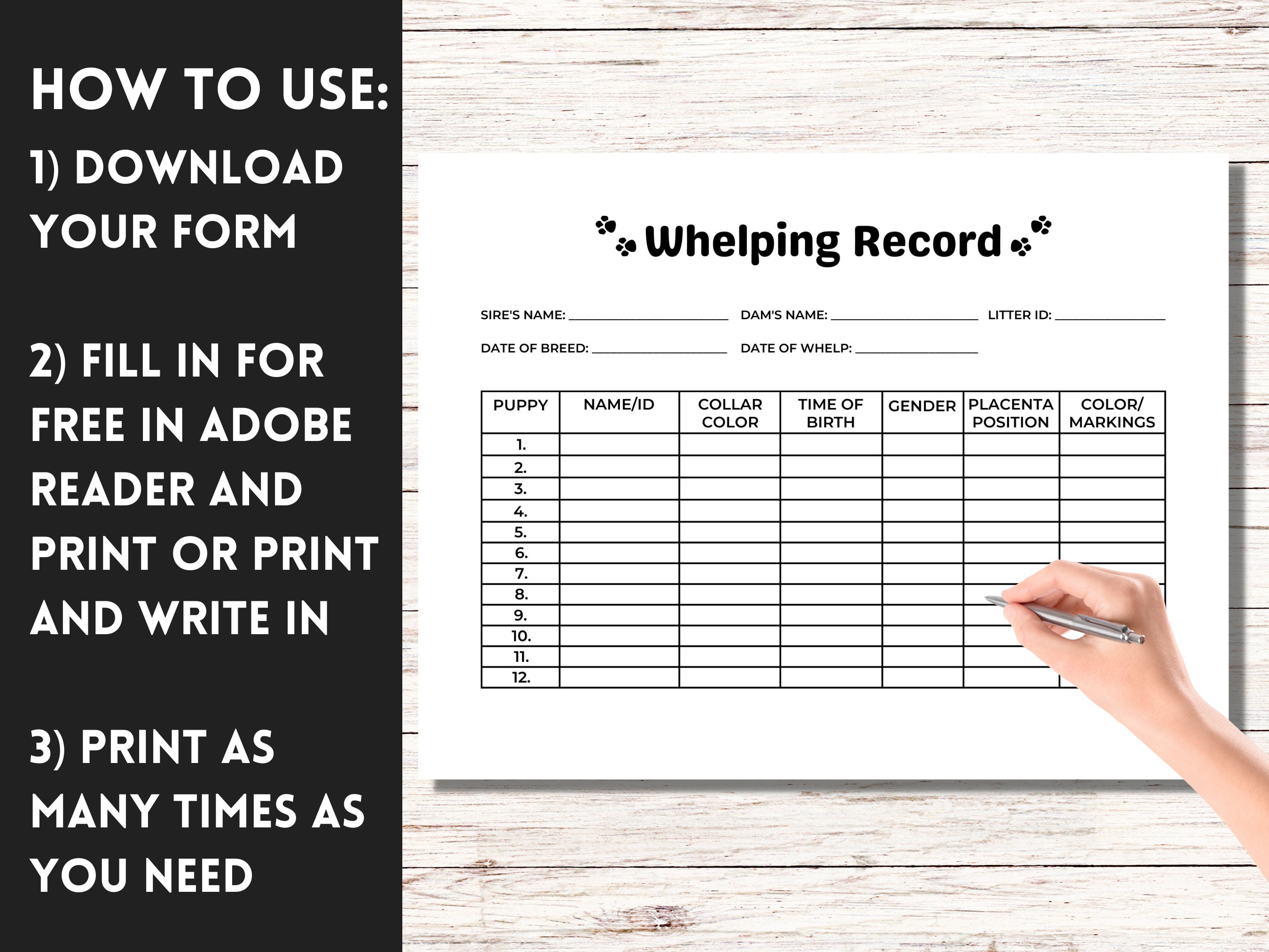 Dog Whelping Record, Fillable Puppy Whelping Chart, Dog Breeder Forms ...