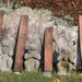 Wine Barrel Slats From an Old Wine Barrel. - Etsy