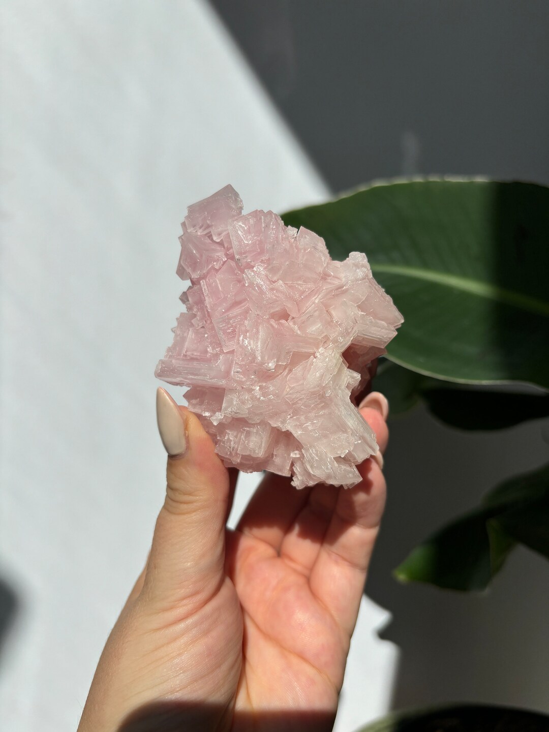 Pink Halite Cluster | Salt Crystal | Raw Specimens | Cubic | Searles ...