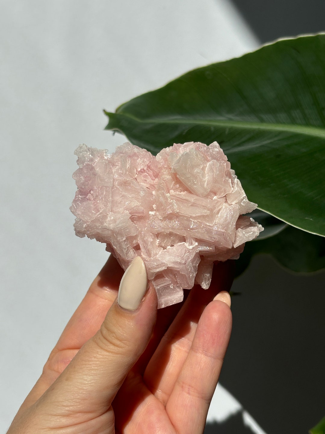 Pink Halite Cluster | Salt Crystal | Raw Specimens | Cubic | Searles ...