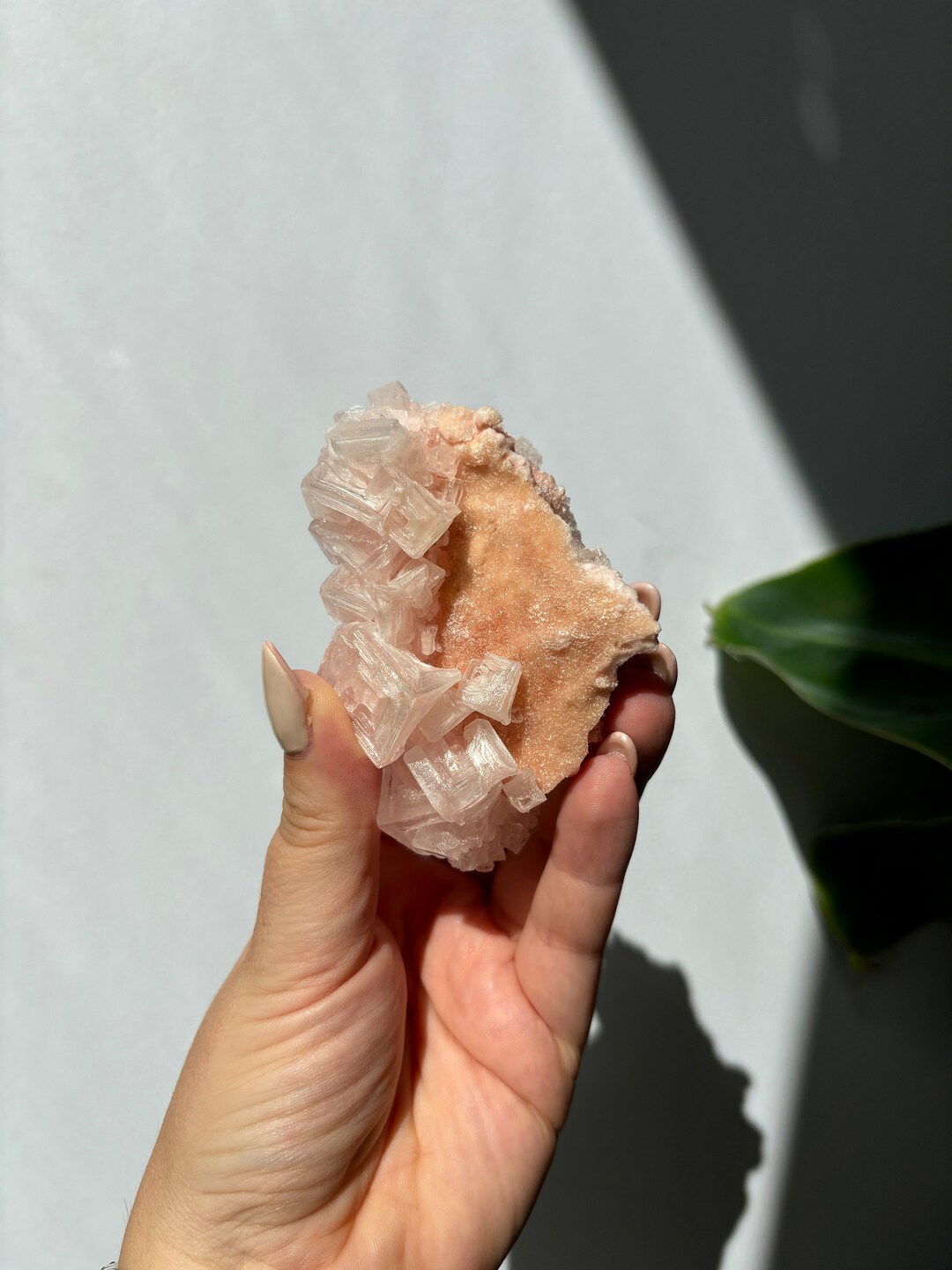 Pink Halite Cluster | Salt Crystal | Raw Specimens | Cubic | Searles ...
