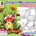 Color by Number Garden Coloring Pages, Digital Download Adult Coloring ...
