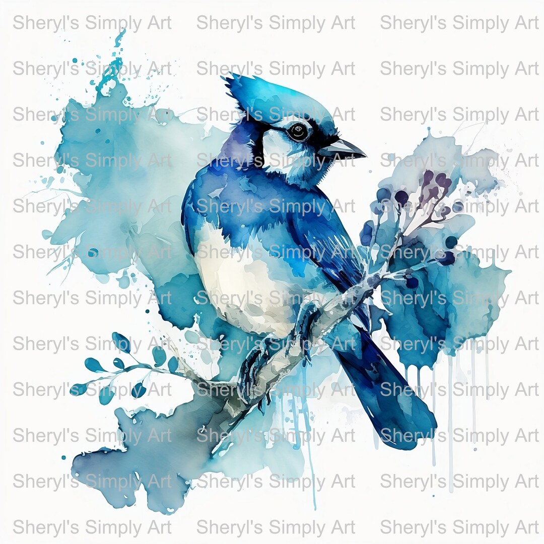 Watercolor Blue Jay PNG, Blue Jay Gift, Blue Jay Png, Cricut Files ...