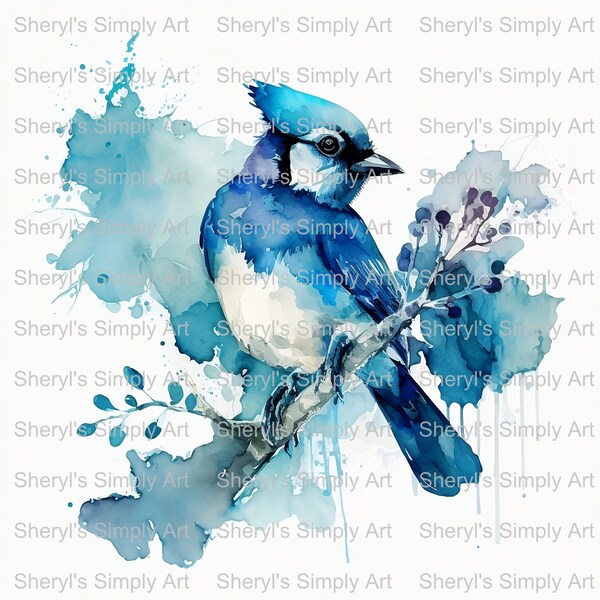 Blue Jay Art - Etsy