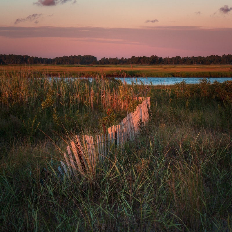 Lewes Beach Wall Art - Etsy