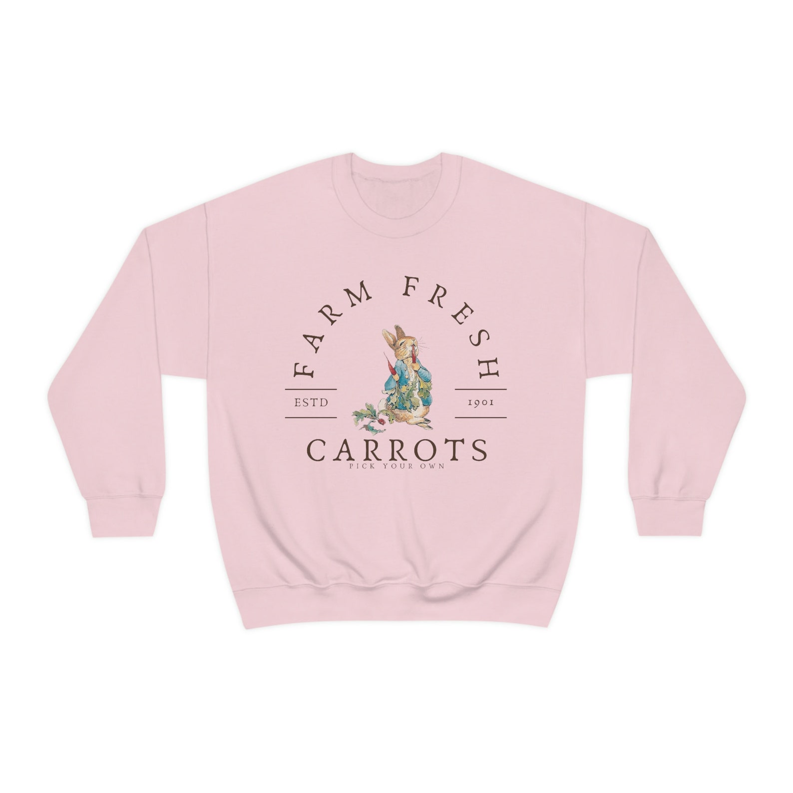 Peter Rabbit Sweater Peter Rabbit Sweatshirt Peter Rabbit Shirt Peter ...