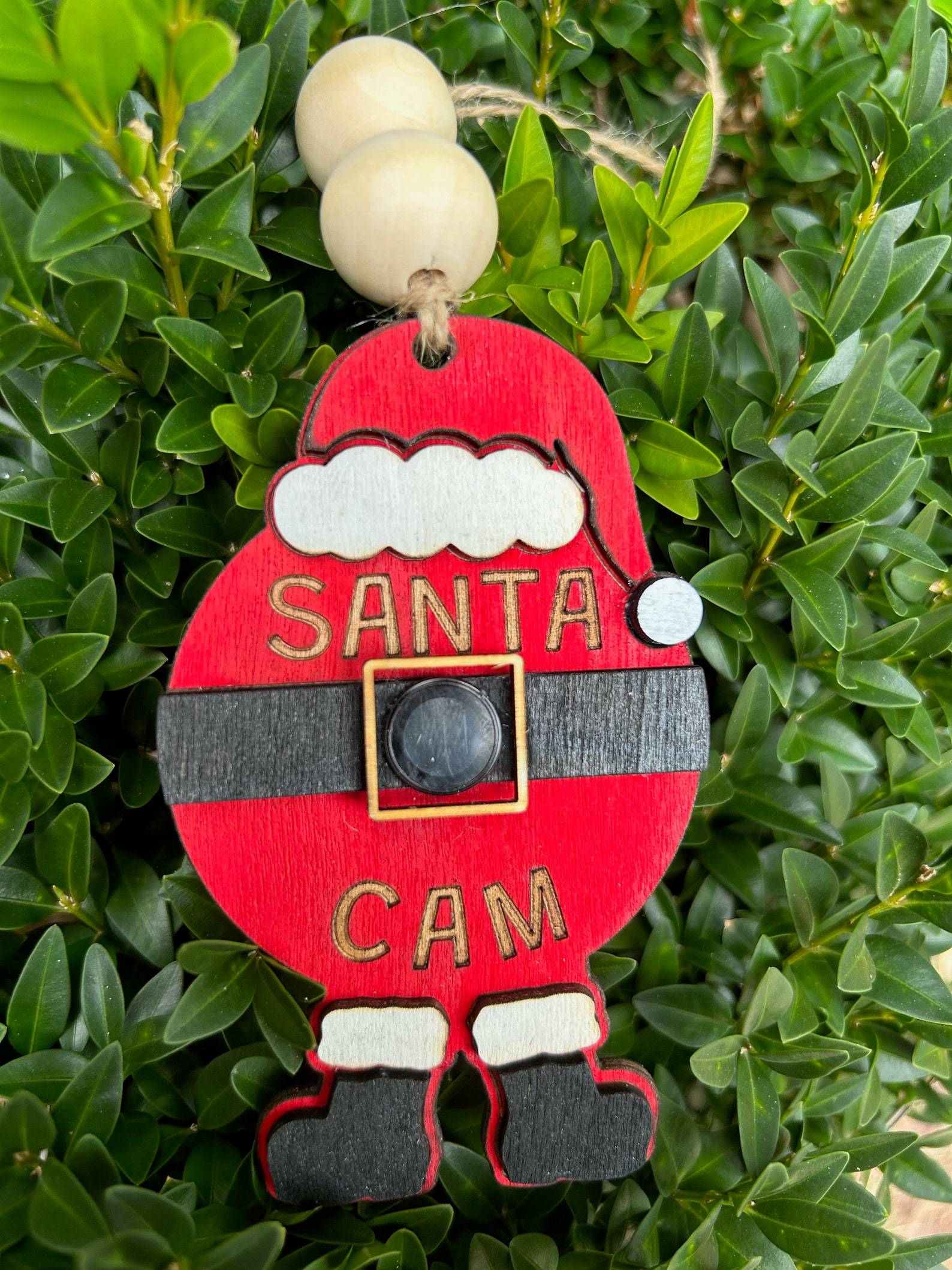 Santa Surveillance, Elf Surveillance, Santa Cam, Elf Cam. SVG Laser ...