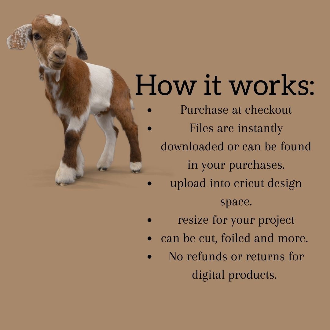 Moody Cow Png Bull PNG Bundle Digital Svg Png Cow Cute Cow - Etsy