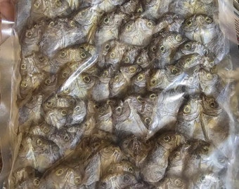 Danggit 110g Unsalted Boneless Dried Fish Daing Tuyo - Etsy