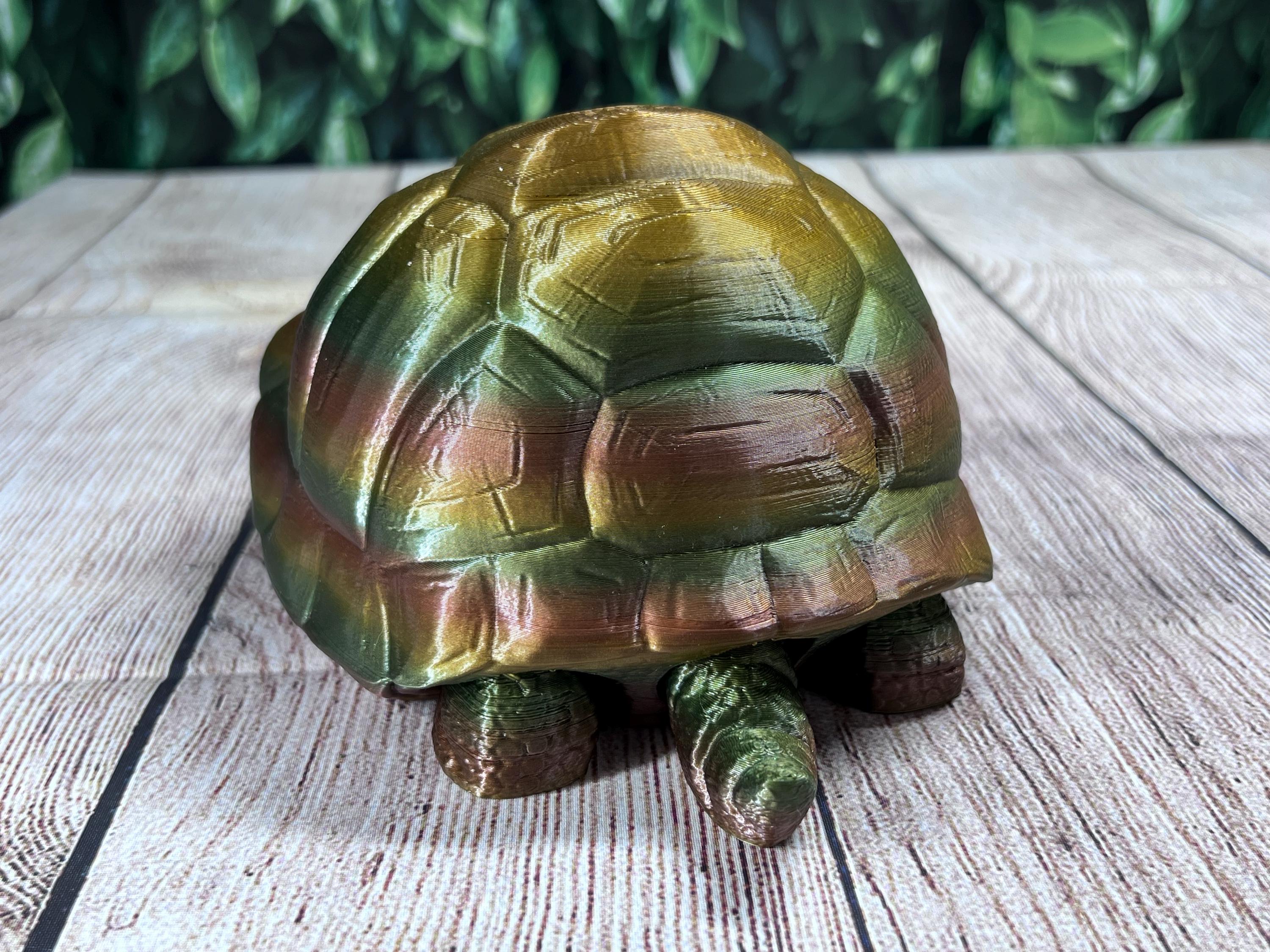 Tortoise 3d Printed - Etsy