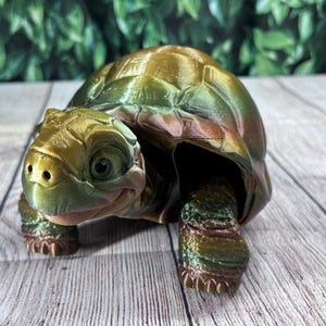 Tortoise 3d Printed - Etsy
