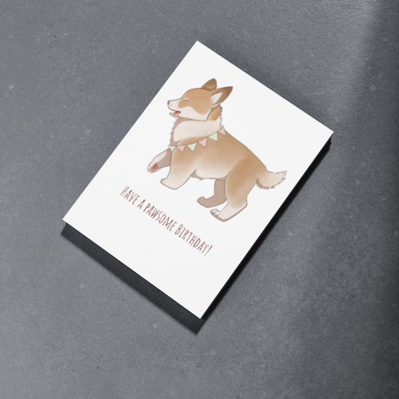 Punny Animal Birthday Cards 3 Pack Cute Animals Toad, Dog, Fish Funny ...