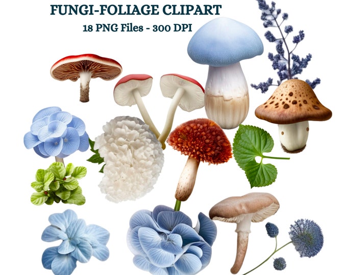 Toadstool Clipart, Set of 13 PNG Bundle, 300 DPI Clip Art, Mushroom ...