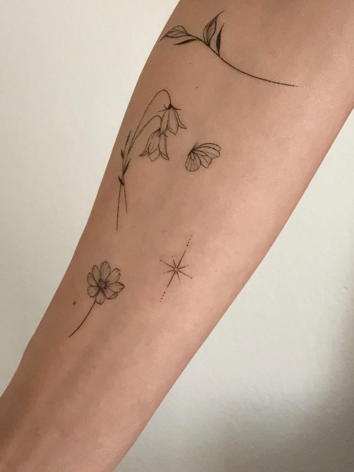 Bluebell, Sparkle, Butterfly, Branch, Cosmos Flower 5 Temporary Tattoos ...