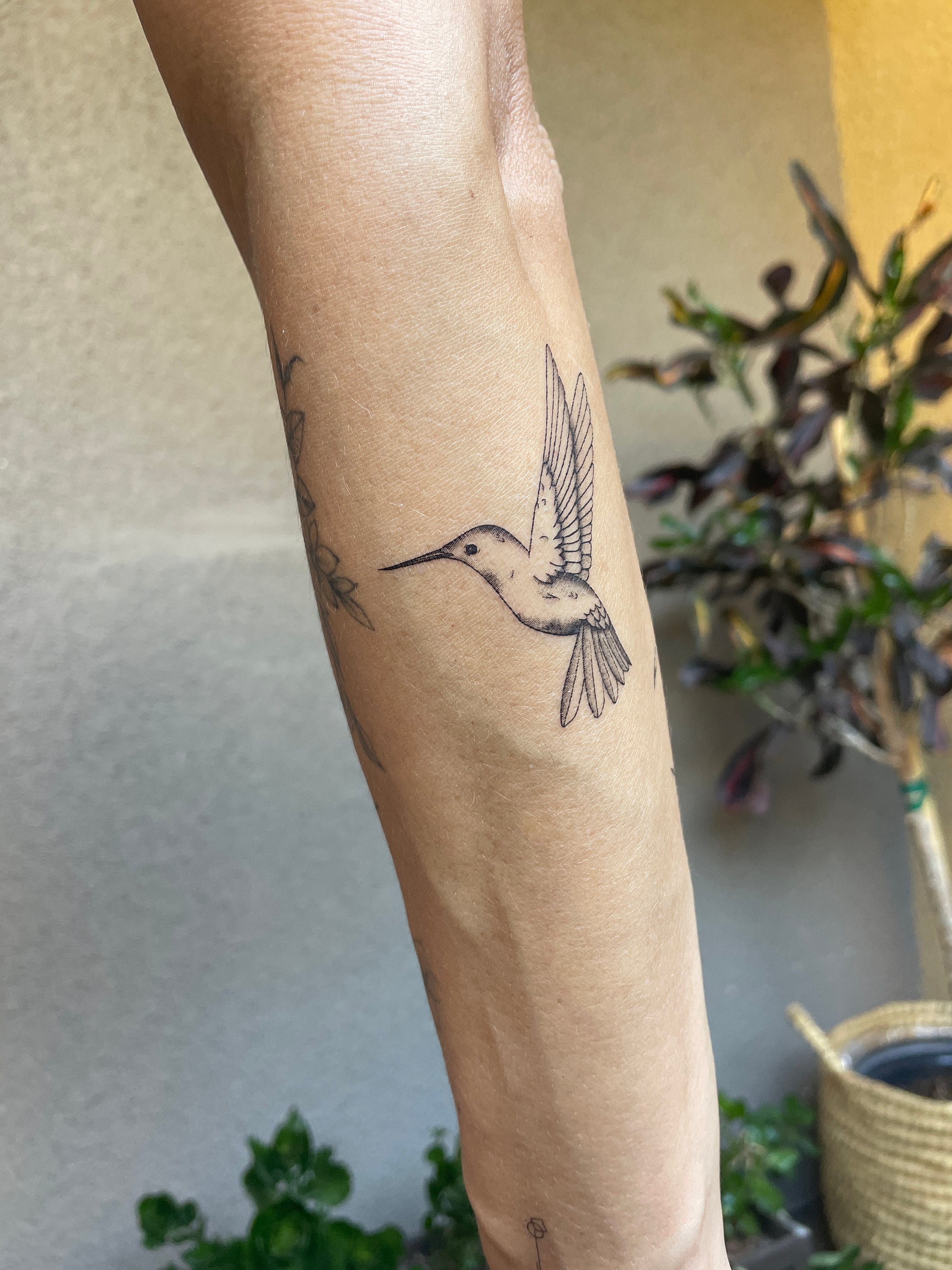 Hummingbird Fine Line Temporary Tattoo (set of 2) - Etsy