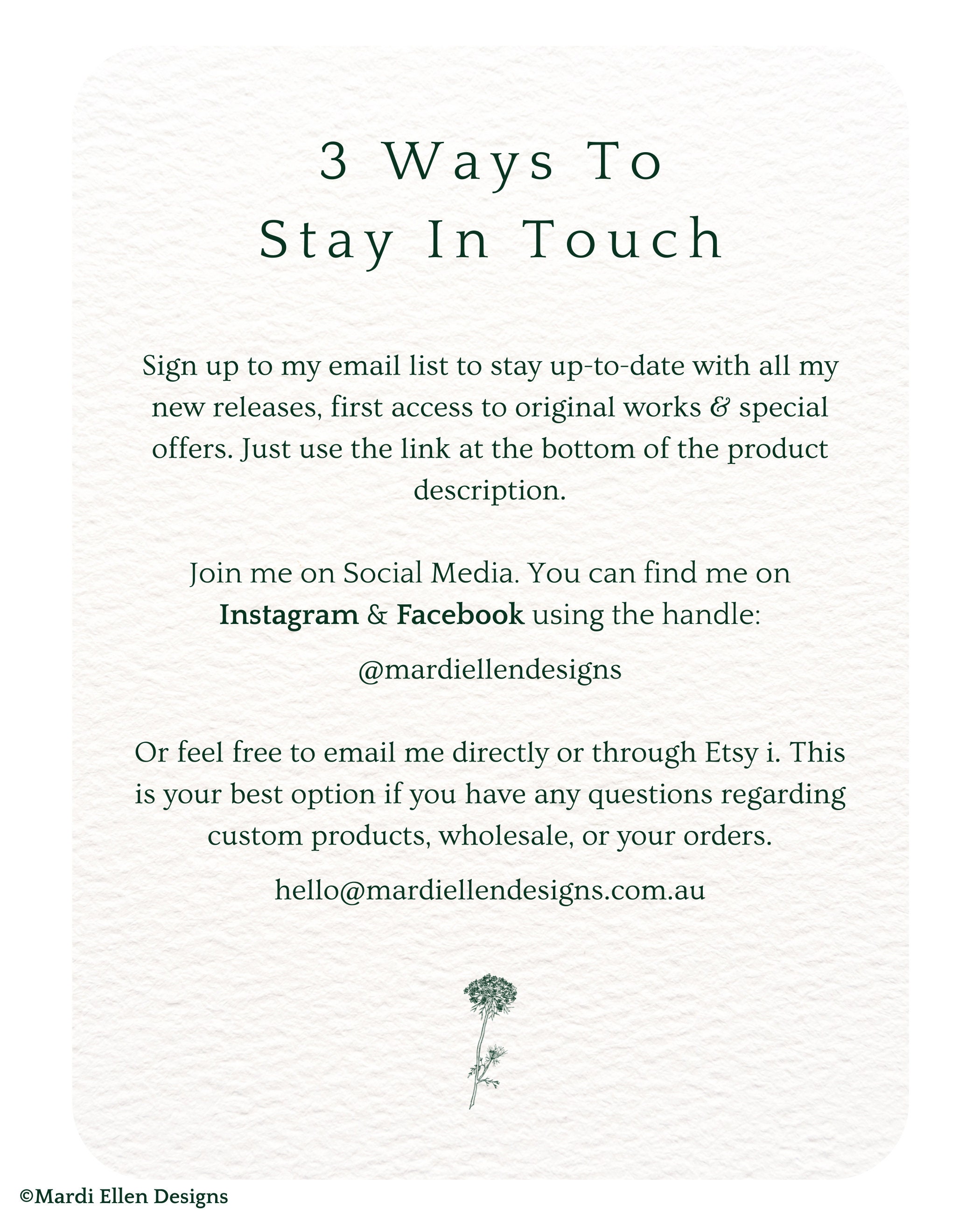 Billy Button - Limited Reproduction Art Print | Wildflower Print ...