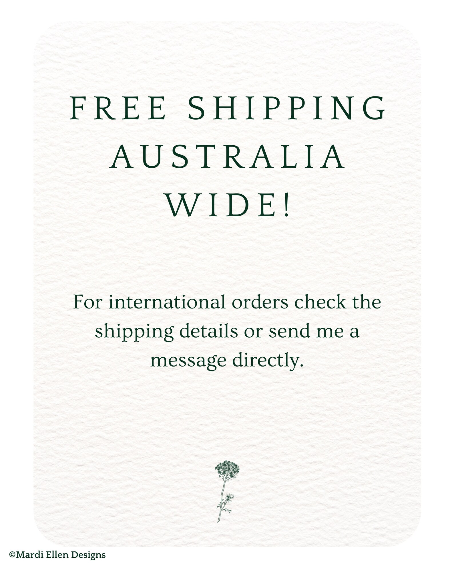 Billy Button - Limited Reproduction Art Print | Wildflower Print ...